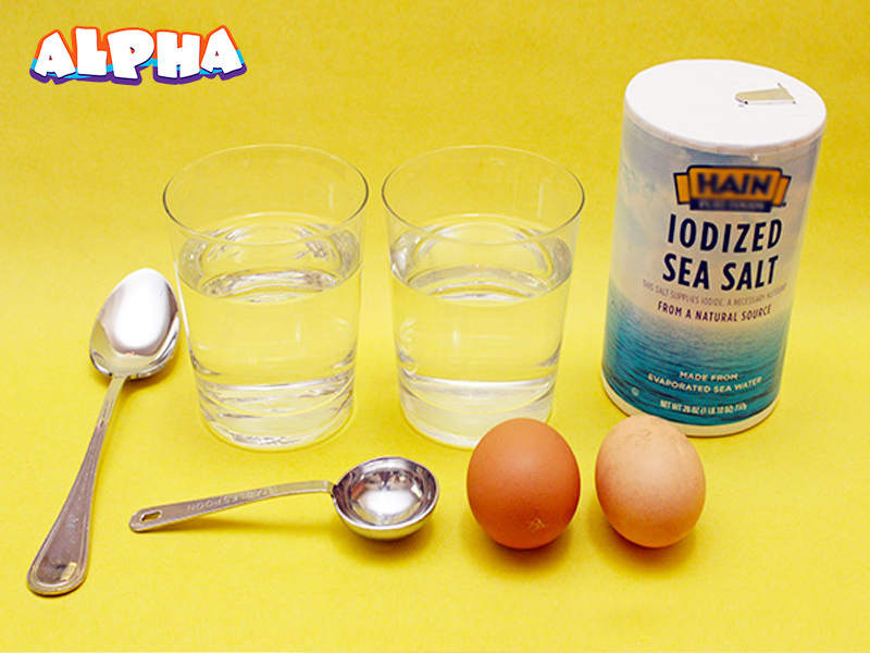 Alpha science classroom：Salt water density science experiment for kids ...